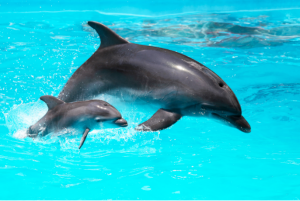 Greece - Globe Trottin' Kids