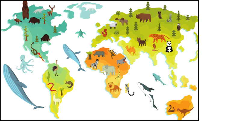 Animals Around the World - Globe Trottin' Kids